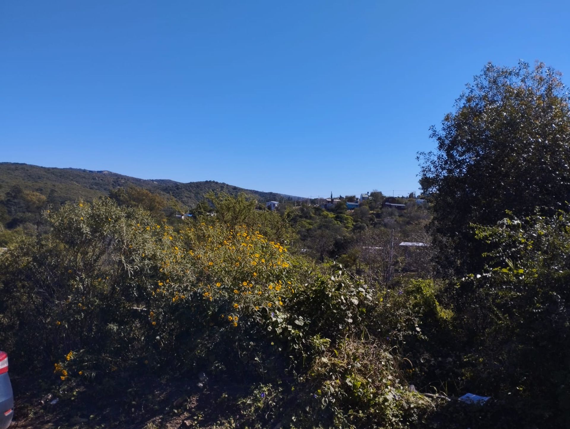 RE/MAX Ultra - ID#1448 - Lote en Venta