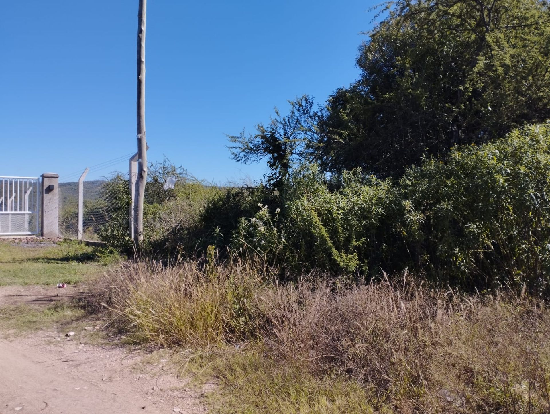 RE/MAX Ultra - ID#1448 - Lote en Venta